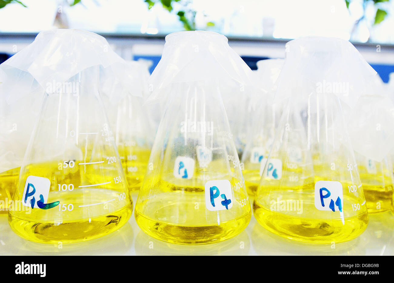 Chemical characterization hi-res stock photography and images - Alamy