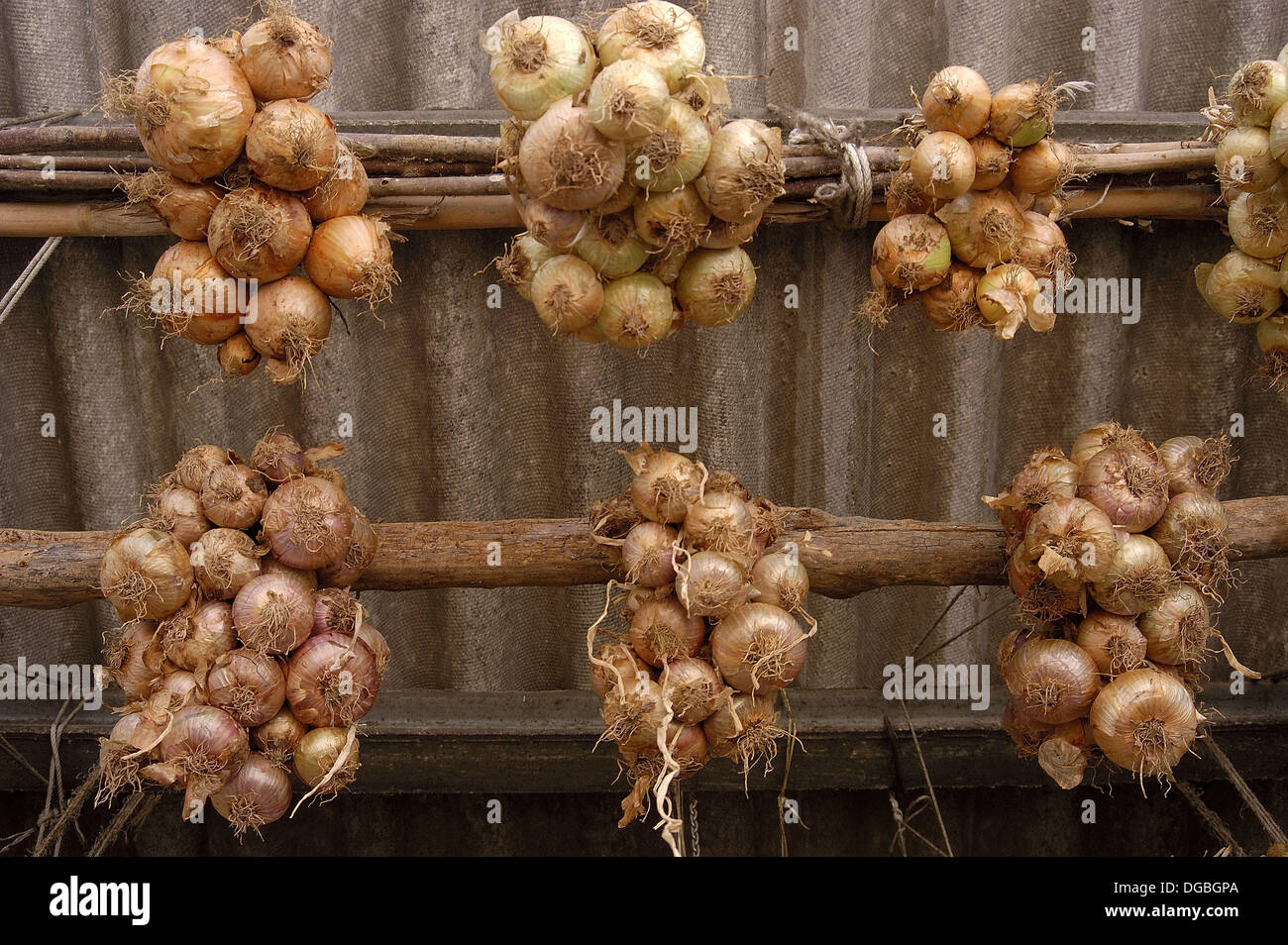 Drying onion hang hi-res stock photography and images - Alamy