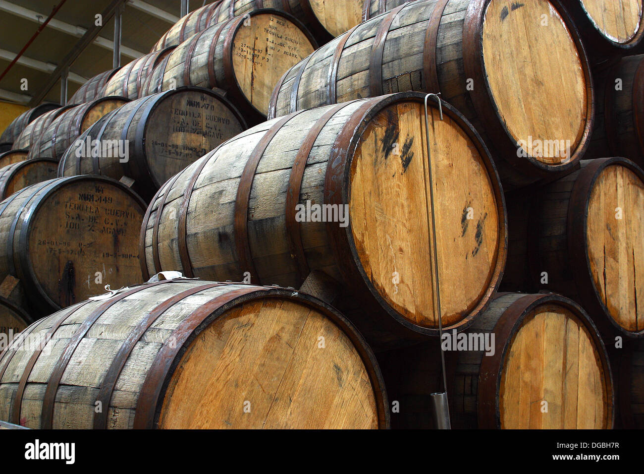 Distillery tequila mexico hi-res stock photography and images - Alamy