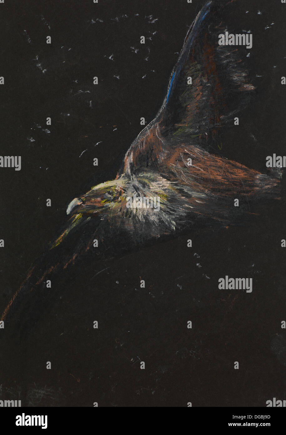 hand drawn colorful pastel drawing of a flying eagle on black ...