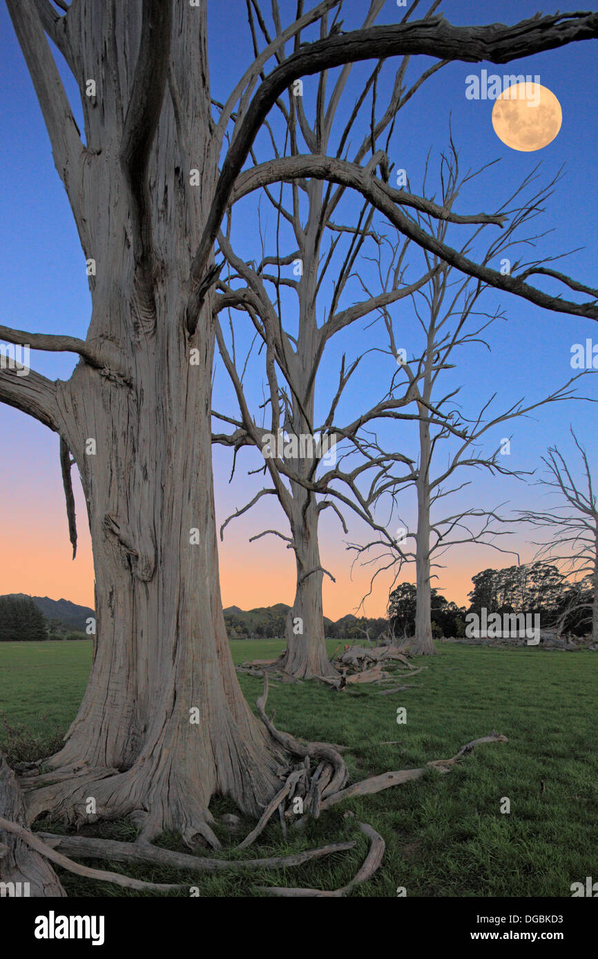 Sunset and full moon hi-res stock photography and images - Alamy