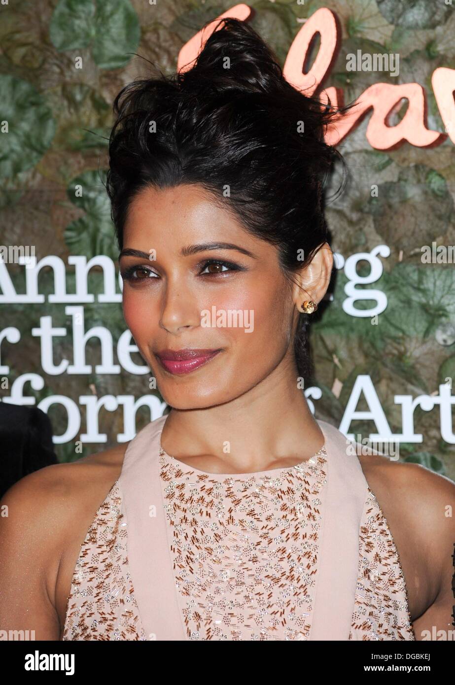 Beverly Hills, CA, . 17th Oct, 2013. Freida Pinto at arrivals for ...
