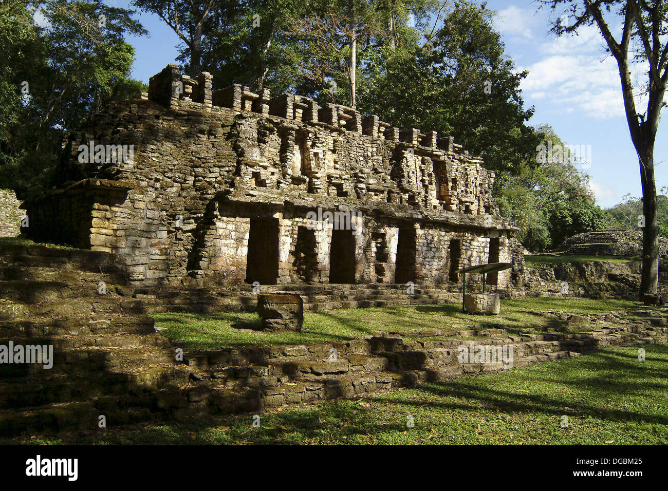 Lacandon Jungle Stock Photos & Lacandon Jungle Stock Images - Alamy