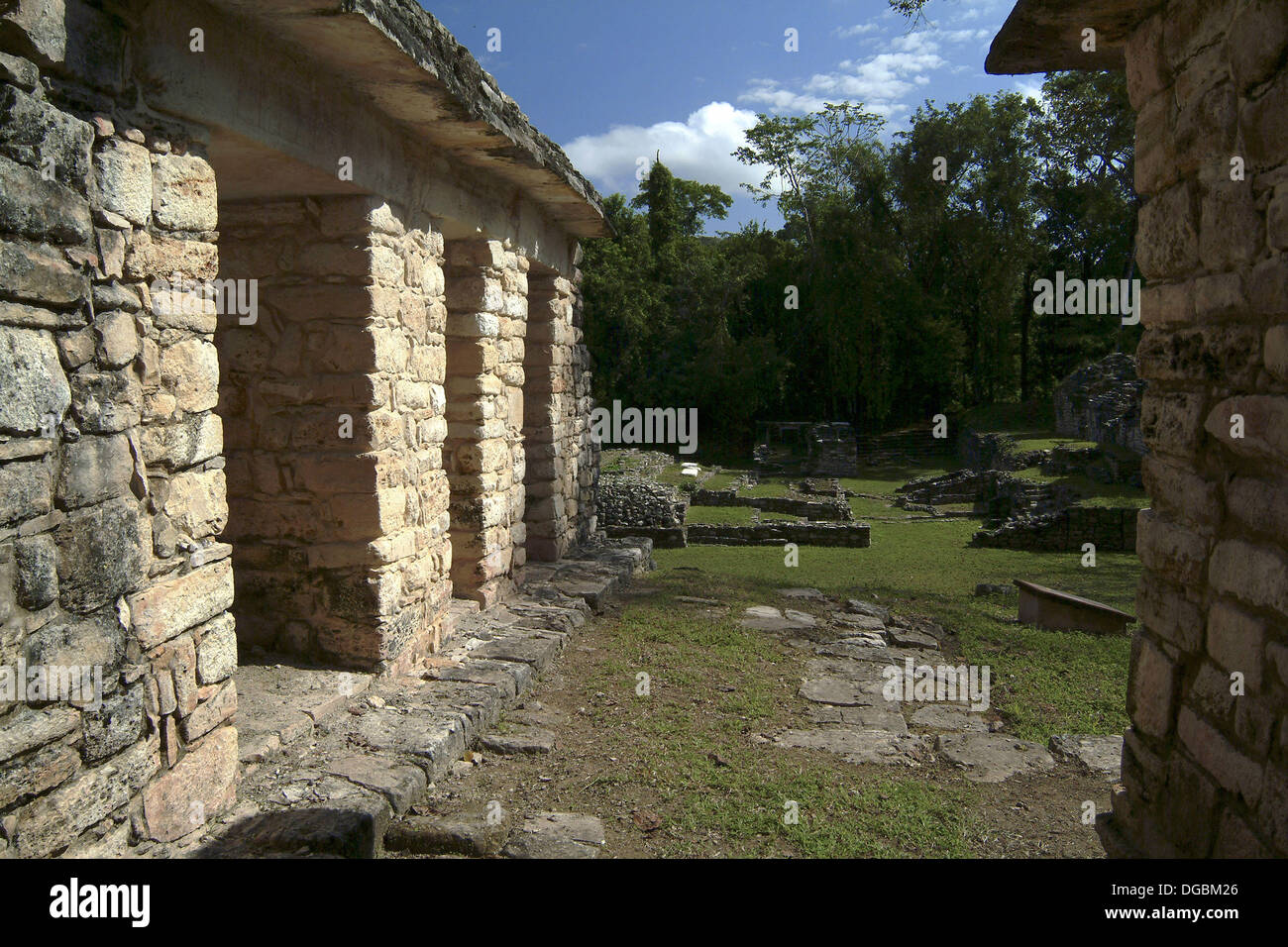Yaxchilán. Lacandon Forest. Chiapas. Mexico Stock Photo - Alamy