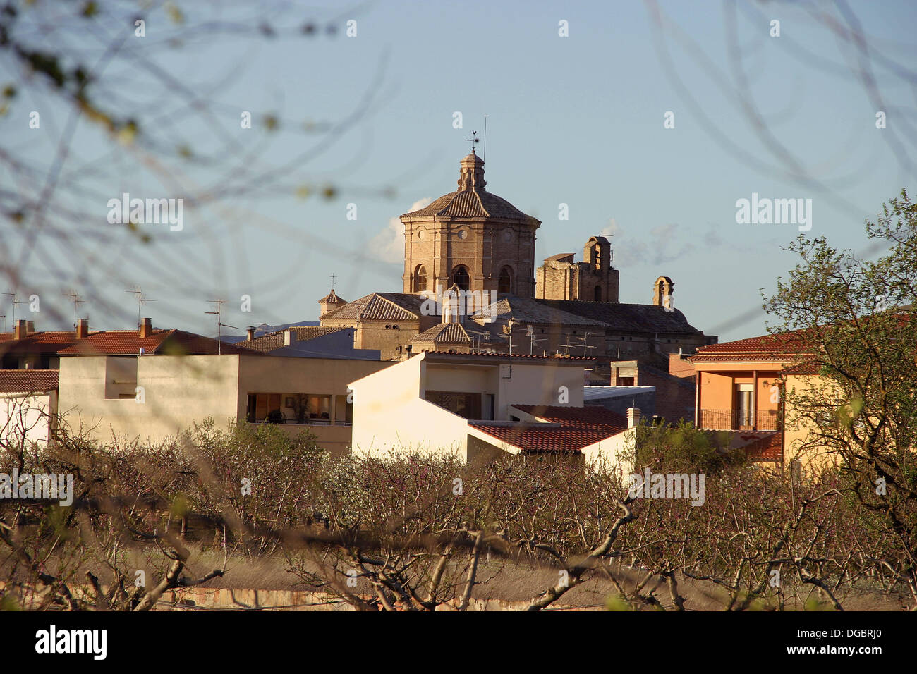 Ginestar High Resolution Stock Photography and Images - Alamy