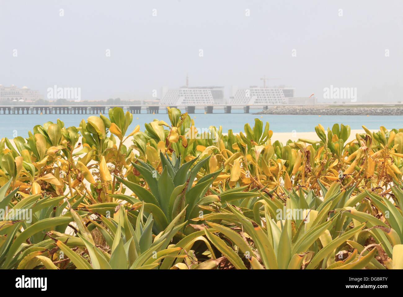 Palm Jumeirah viewed from Jumeirah beach Stock Photo - Alamy