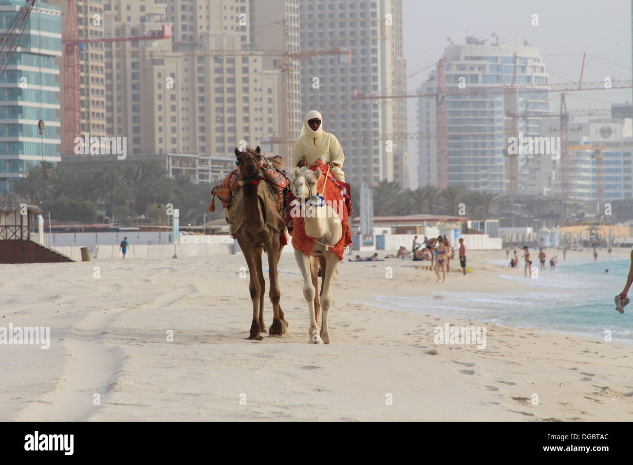 Camel ride on the beach Stock Photo - Alamy