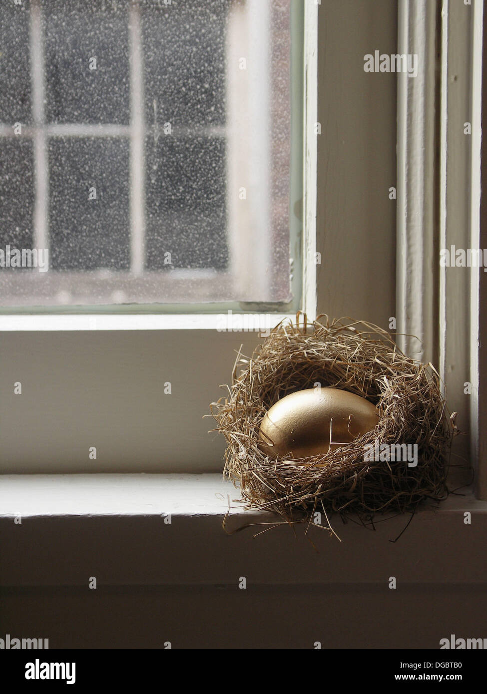 Bird nest in window hi-res stock photography and images - Alamy