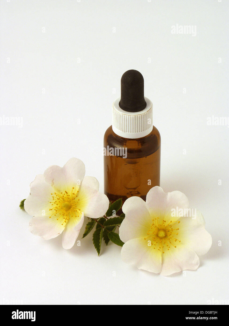 Rose oil oil hi-res stock photography and images - Alamy