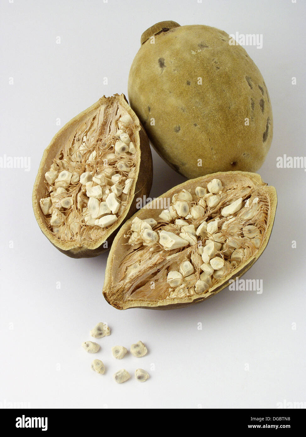 Fruits of african baobab hi-res stock photography and images - Alamy