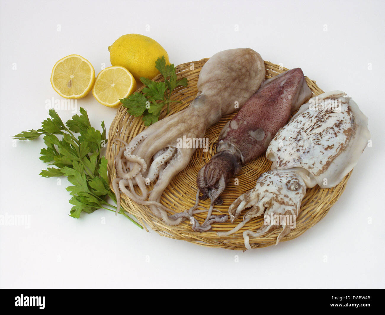 Calamar Vs Pulpo