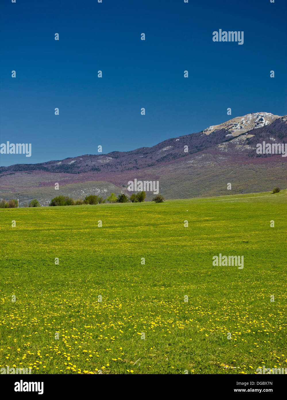 Green landscape under Licka Pljesivica mountain, Lika, Croatia Stock ...