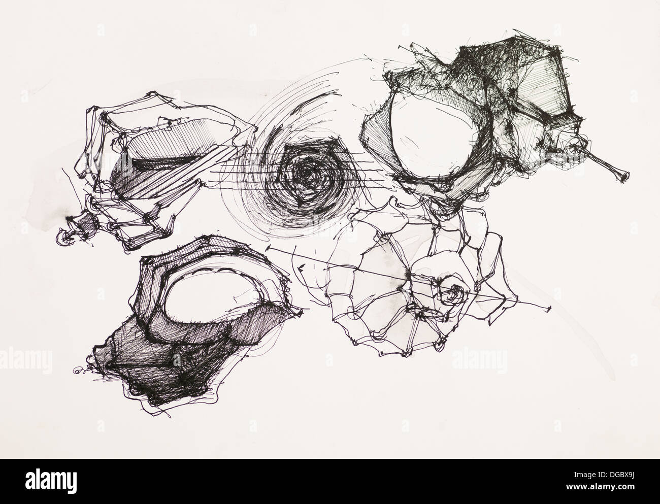 hand drawn ink illustration of seashells Stock Photo - Alamy