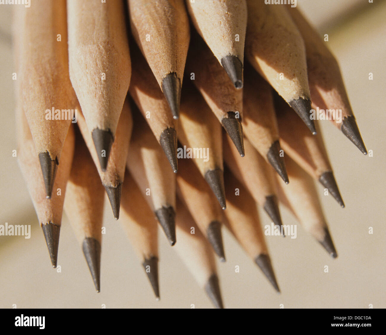 Lead his hi-res stock photography and images - Alamy