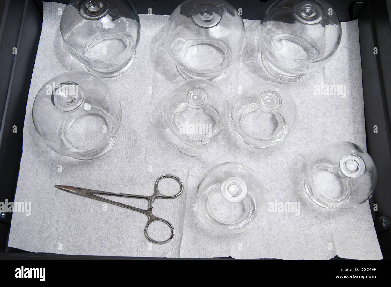 Cupping tray hi-res stock photography and images - Alamy