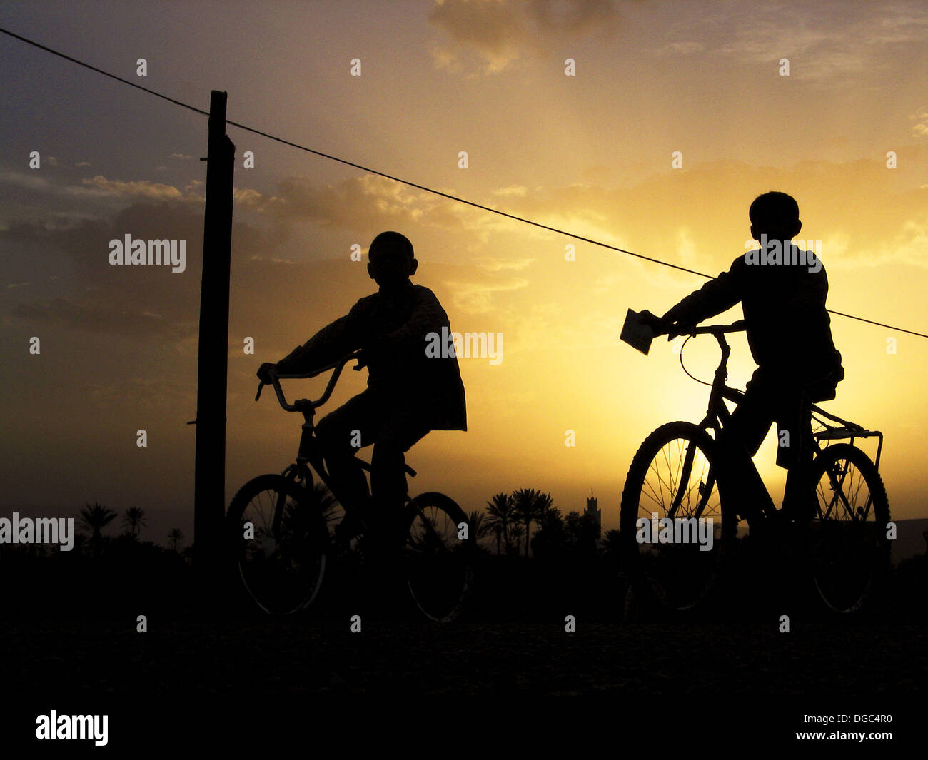 Palmerie hi-res stock photography and images - Alamy