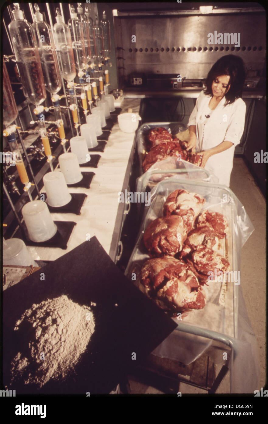 FROM RED MEAT TO ASH-A FOUR WEEK LABORATORY PROCEDURE FOR MEASURING ...