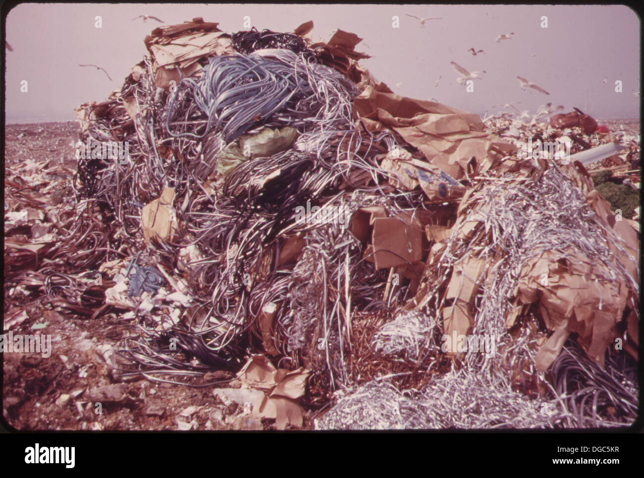 Garbage in water shows pollution hi-res stock photography and images ...