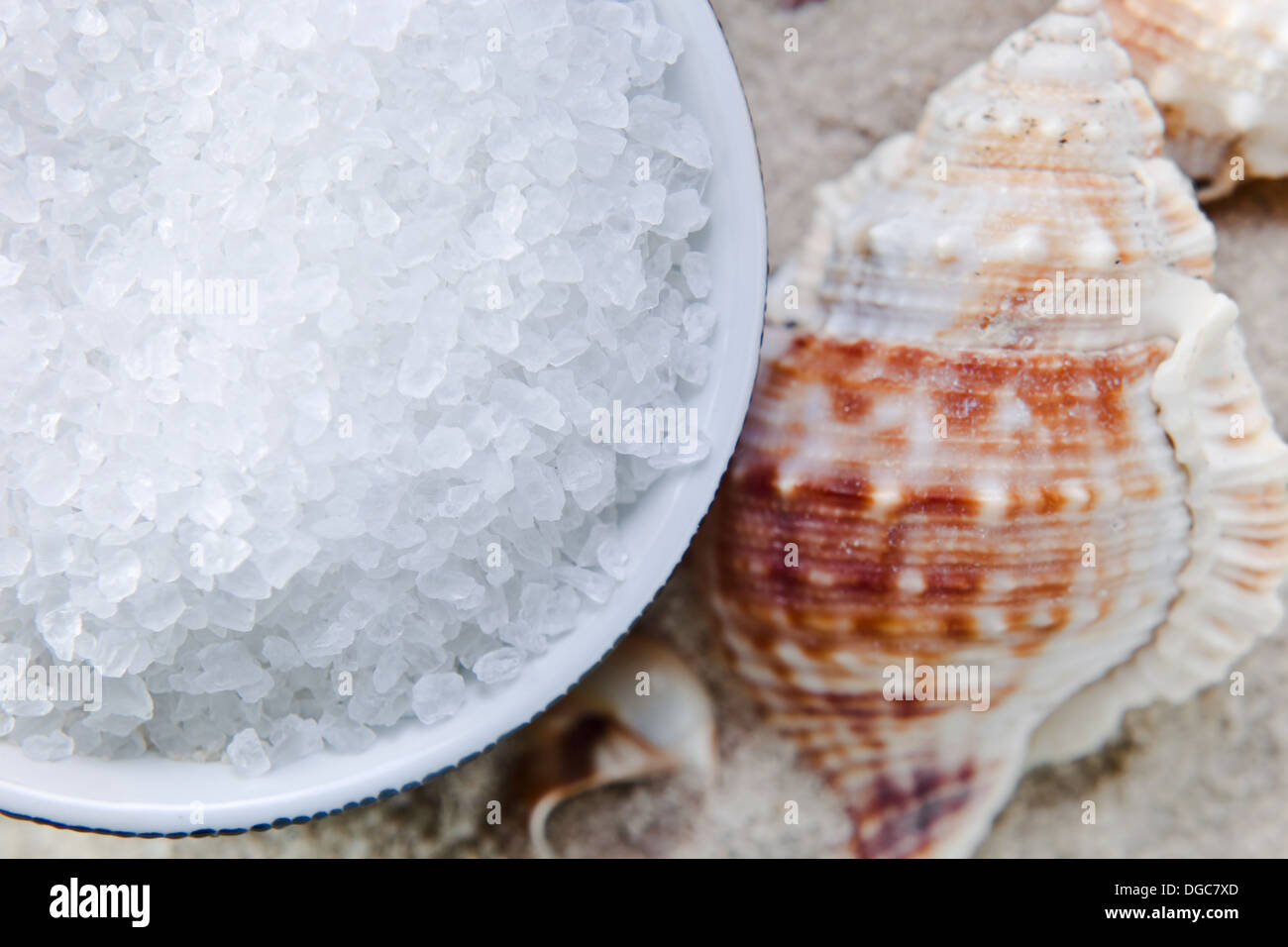 Sea salt and shells on sea sand Stock Photo - Alamy