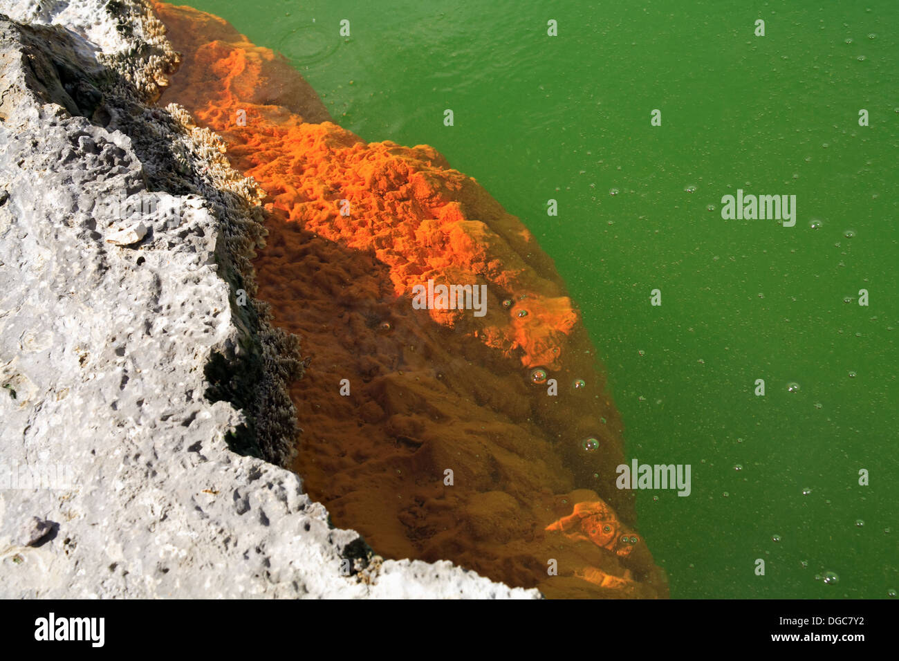 Champagne Pool, Wai-O-Tapu geothermal area Stock Photo - Alamy