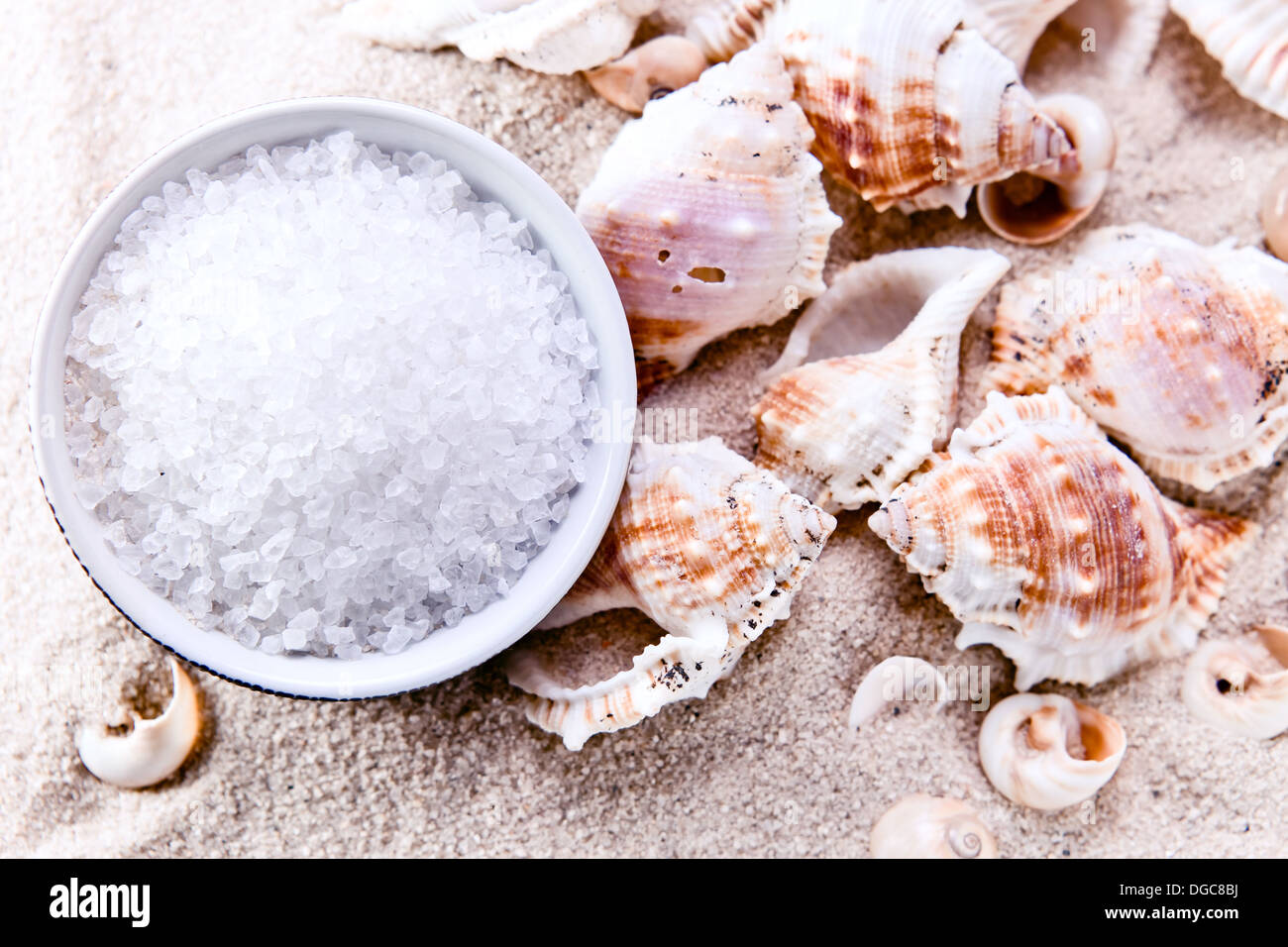 Sea salt and shells on sea sand Stock Photo - Alamy