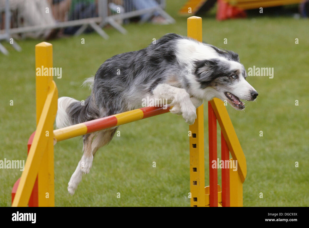 Jumping over the bar hi-res stock photography and images - Alamy