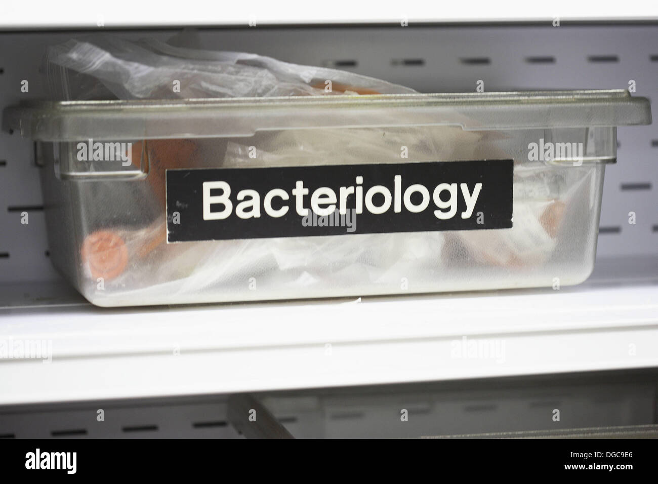 Bacteriology tray in hospital lab Stock Photo - Alamy