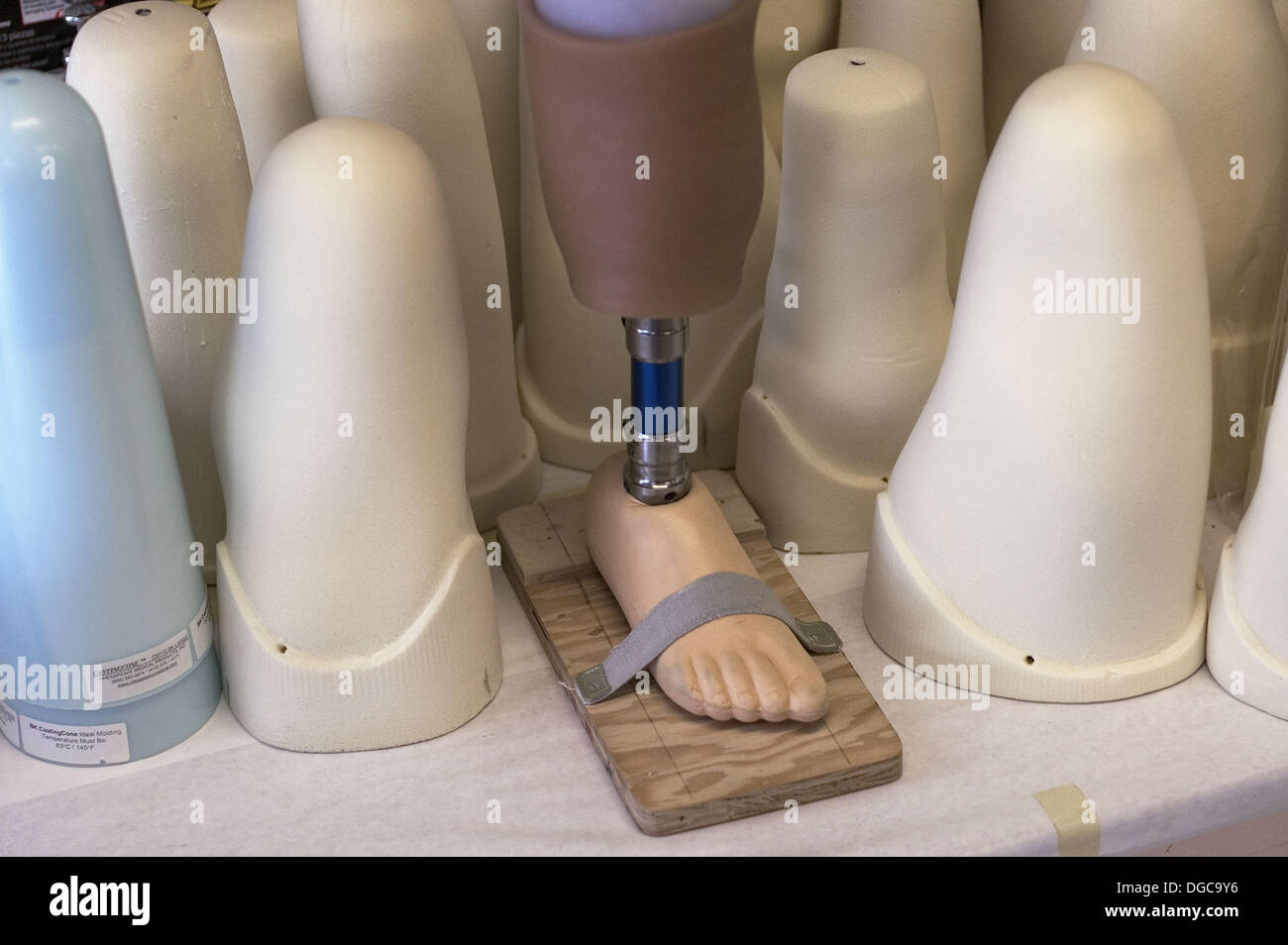 Plaster cast models hi-res stock photography and images - Alamy