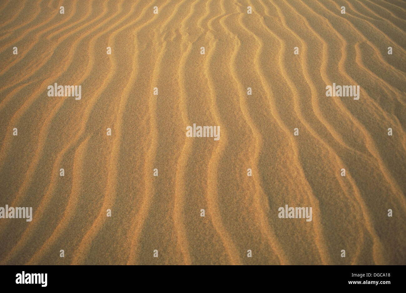 Médanos hi-res stock photography and images - Alamy