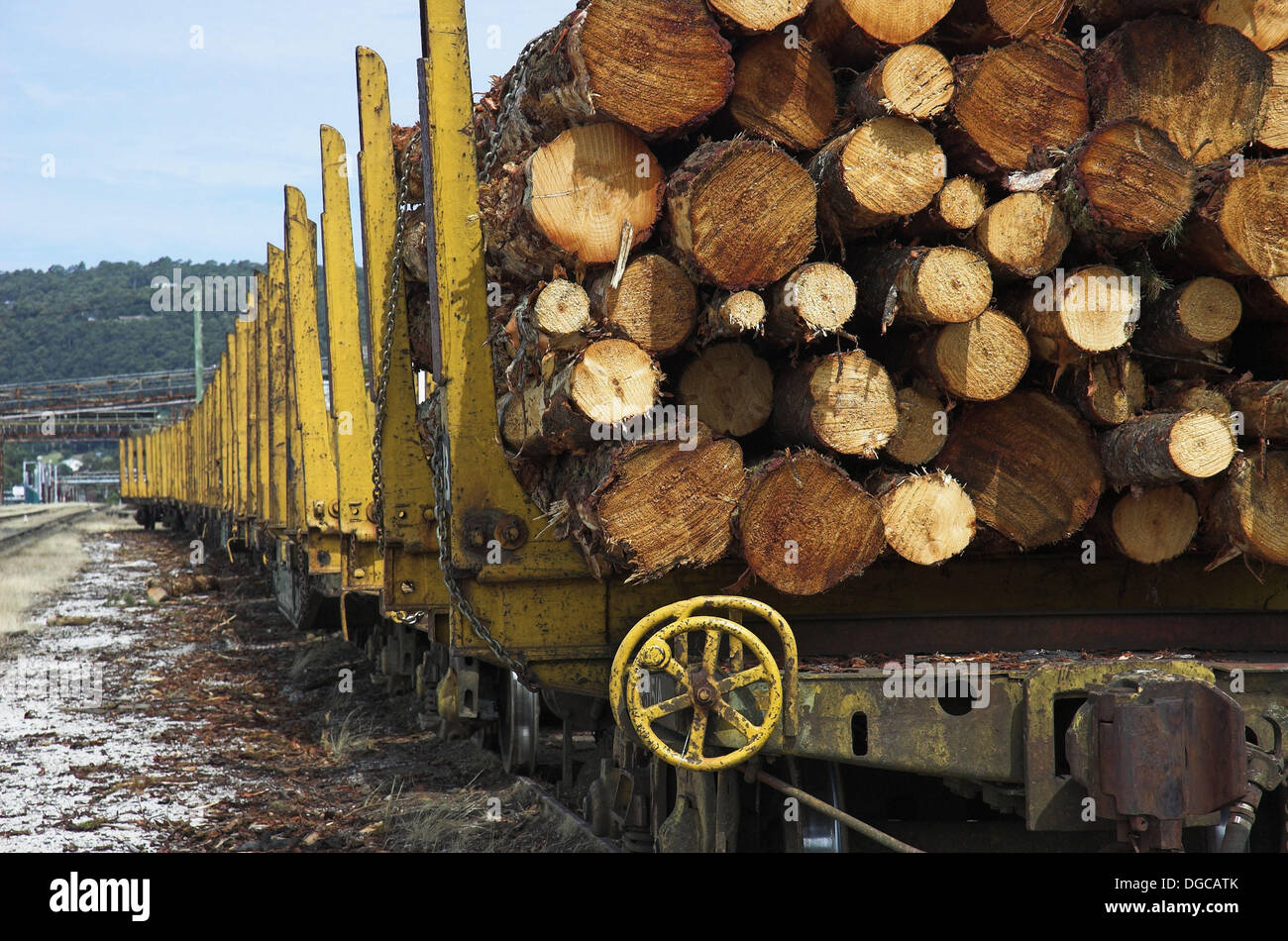 Timber plantation australia hi-res stock photography and images - Alamy