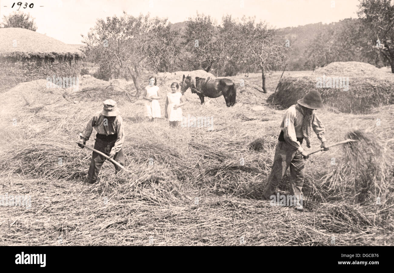Animal agriculture 1900s High Resolution Stock Photography and Images ...