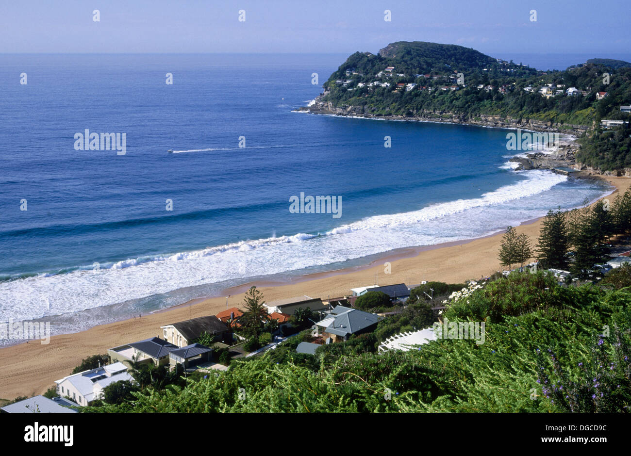 Whale Beach Sydney