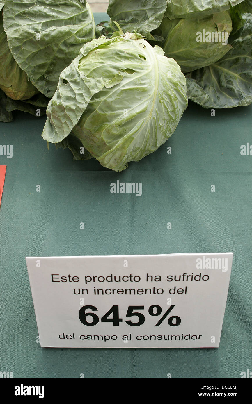Cauliflower and farmer´s protest sign against price manipulation by ...