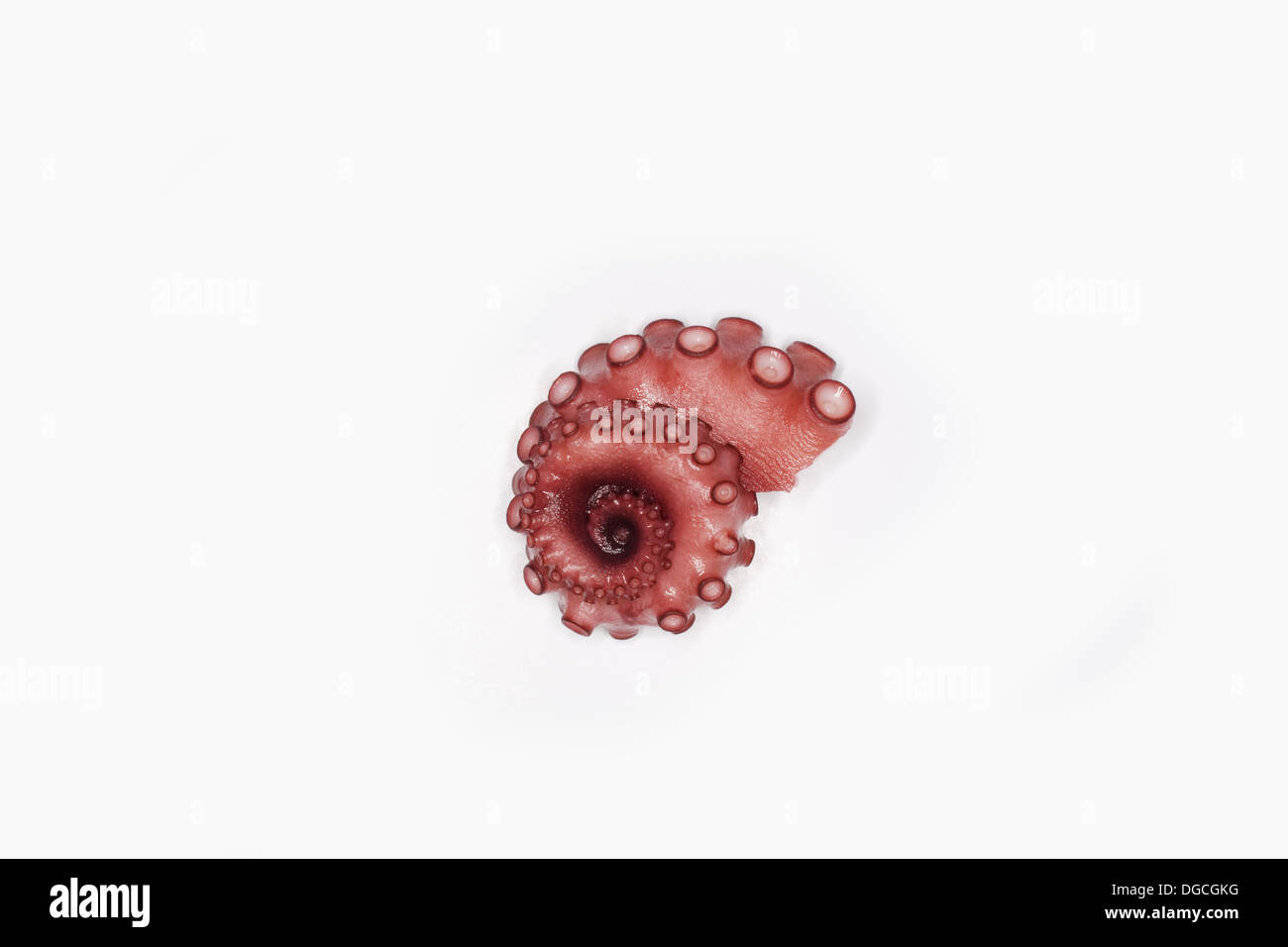 Octopus sushi hi-res stock photography and images - Alamy