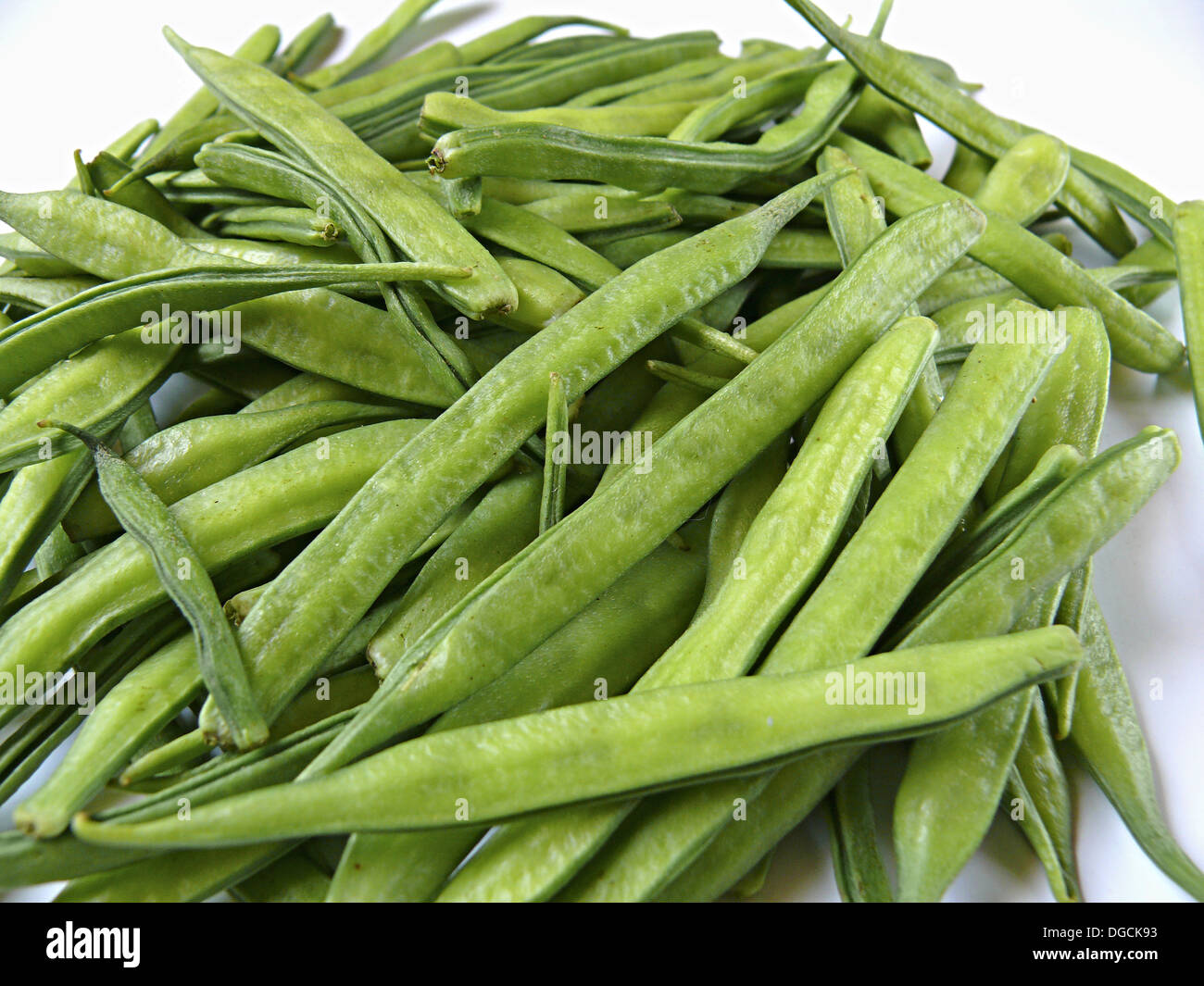 Plantae order hi-res stock photography and images - Alamy