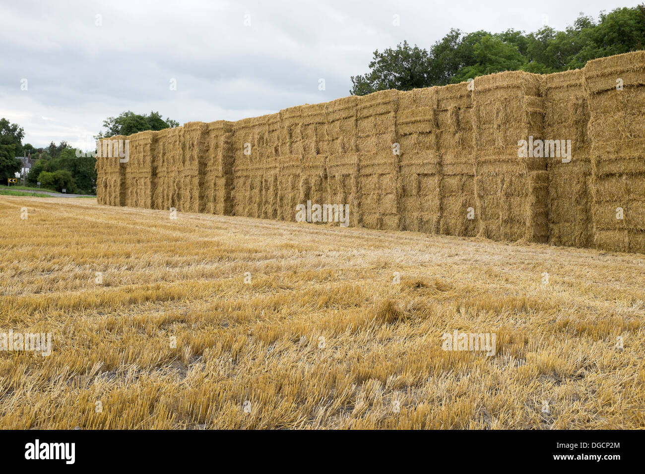 Stack of Hay Bales in Field in Wiltshire England Stock Photo - Alamy