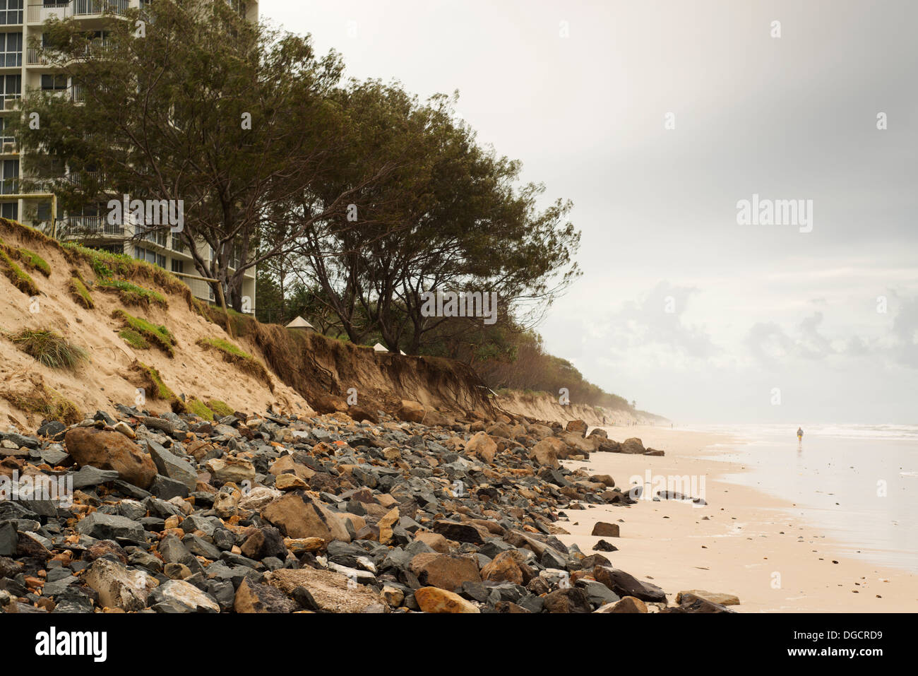 Coastal dune damage after a large storm at Main Beach on Queensland's ...