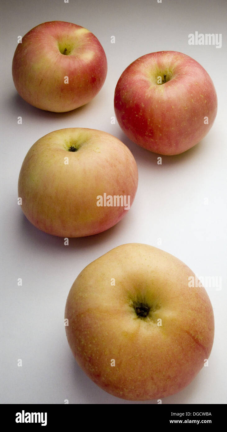 Color life fuji hi-res stock photography and images - Alamy