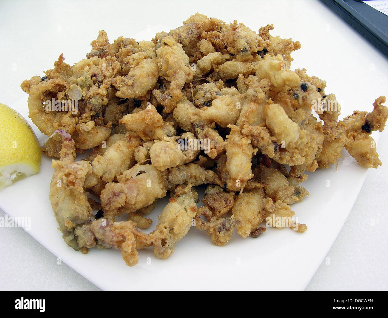 Small cuttlefish close up hi-res stock photography and images - Alamy