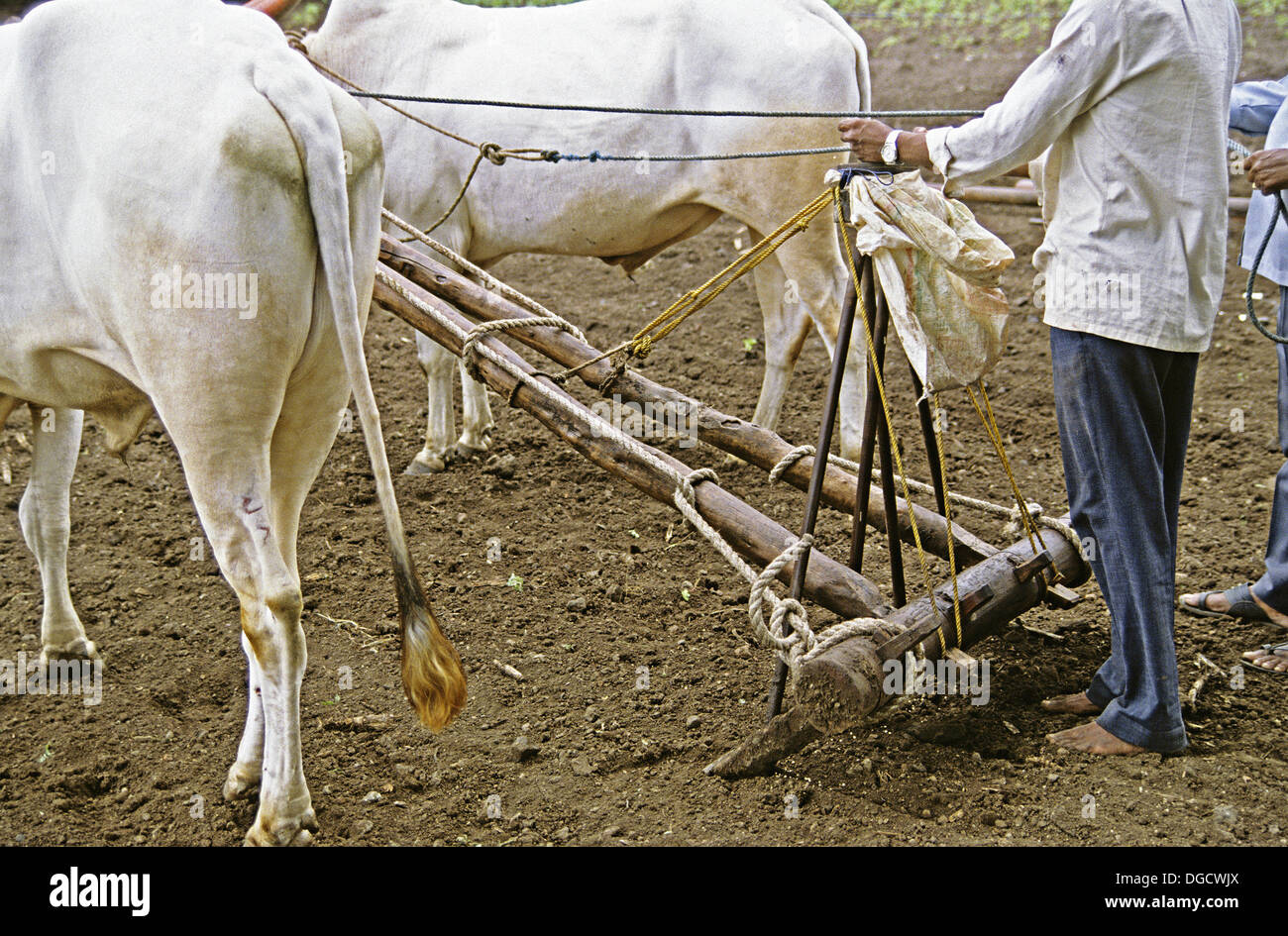 Mulshi High Resolution Stock Photography and Images - Alamy