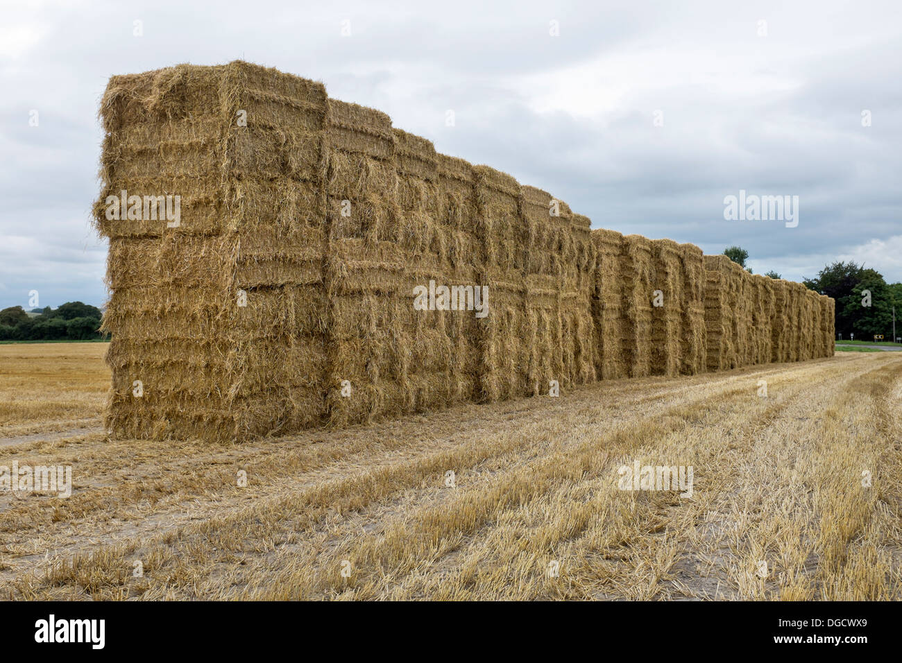 Stack hay bales hi-res stock photography and images - Alamy