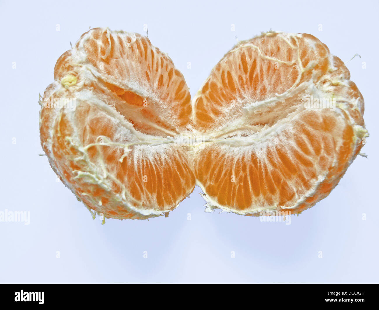 Dense and spiny hedge hi-res stock photography and images - Alamy