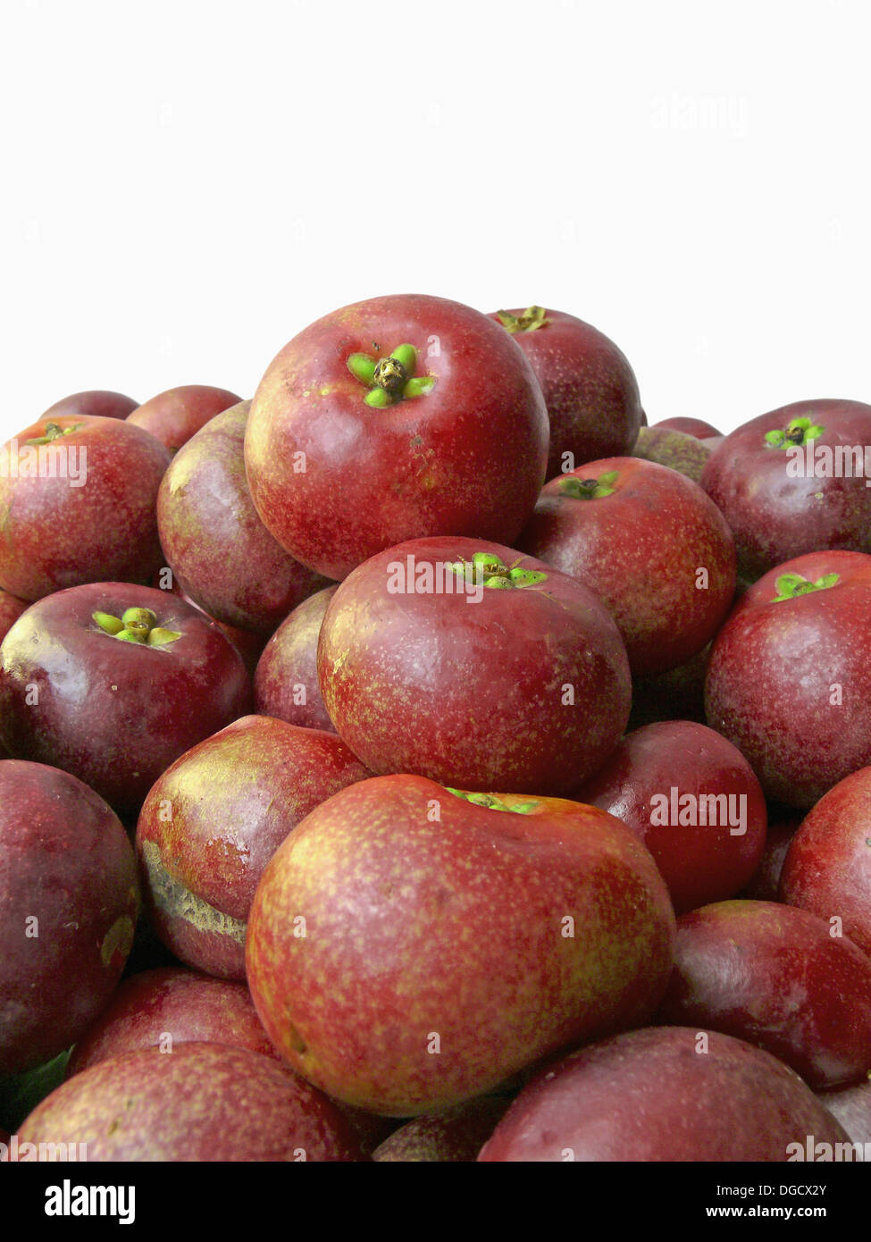 Kokam hi-res stock photography and images - Alamy