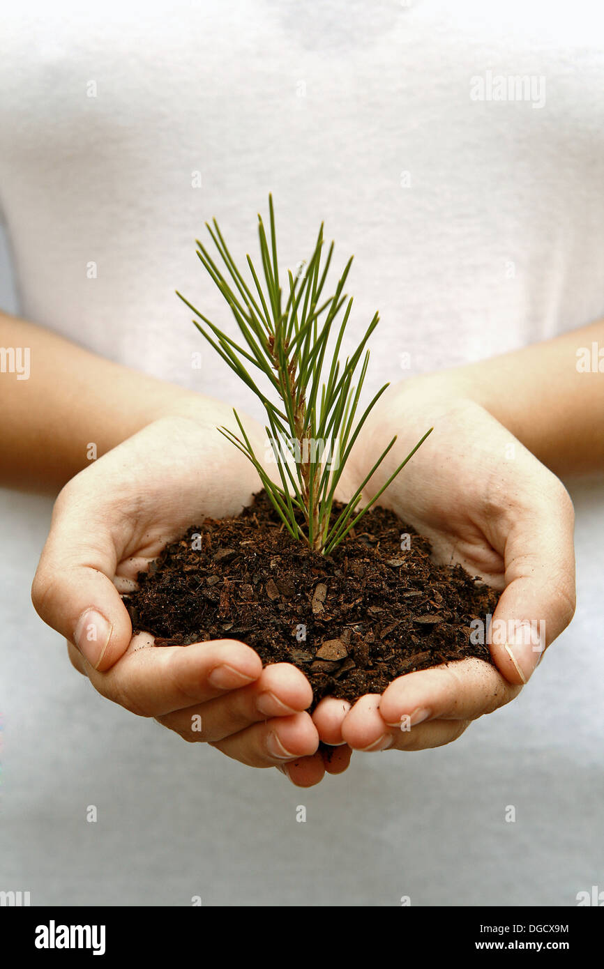 Human sp hi-res stock photography and images - Alamy