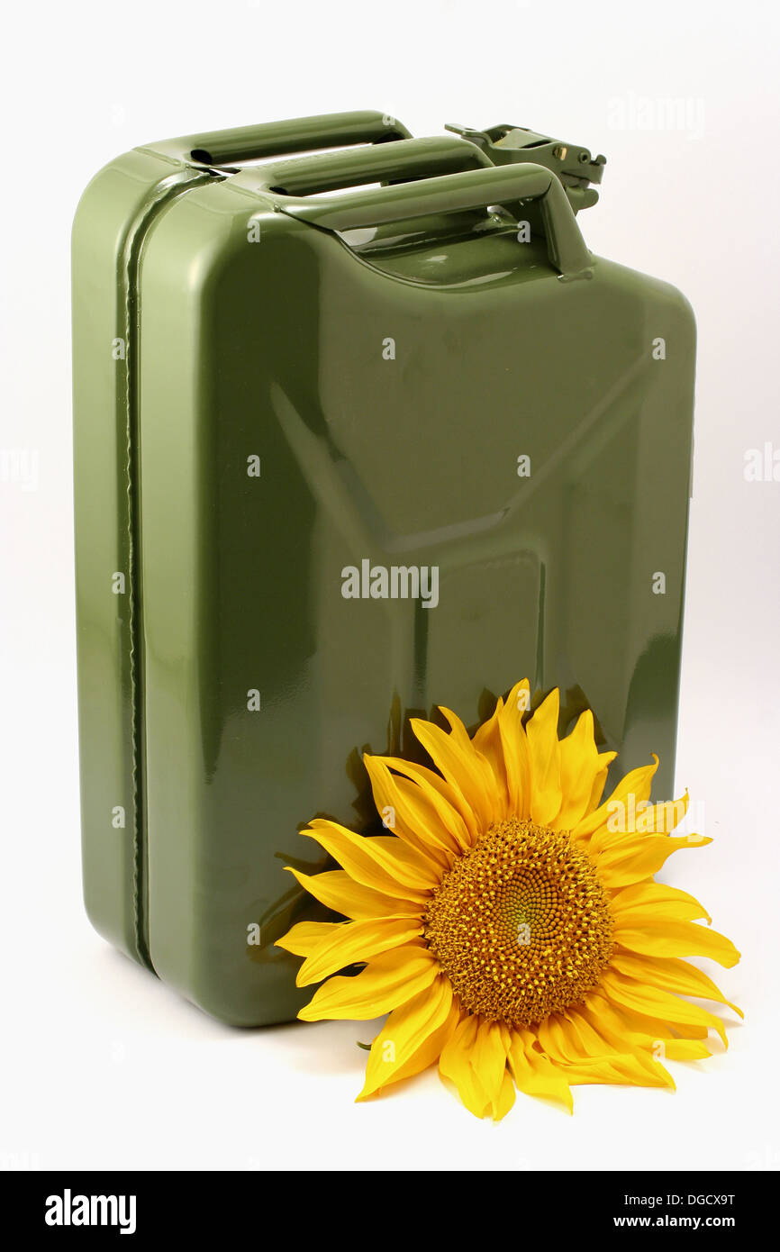 Biofuel hi-res stock photography and images - Alamy