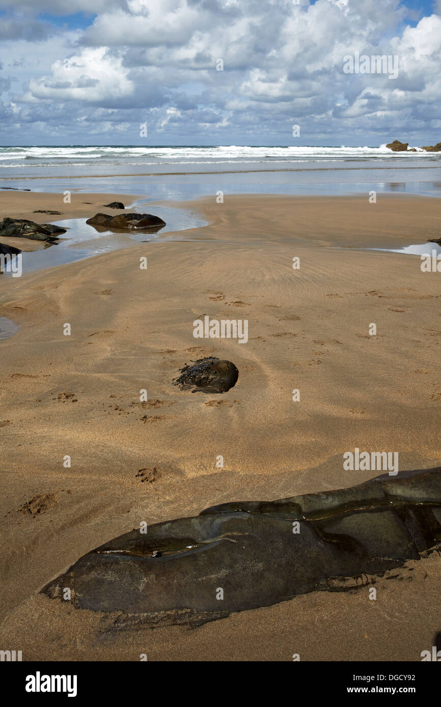 Sandy beach strand hi-res stock photography and images - Alamy