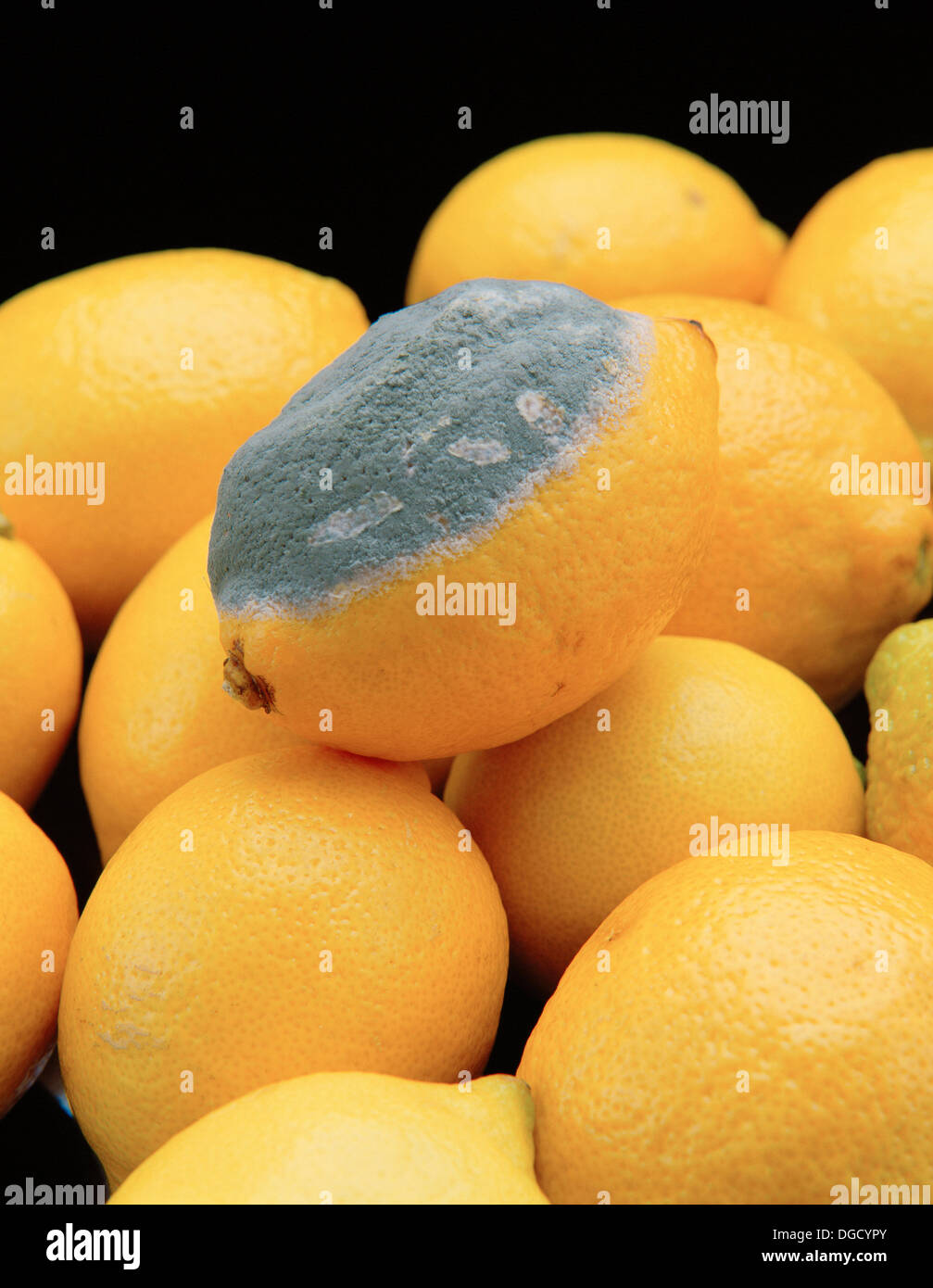 Negative mold hi-res stock photography and images - Alamy