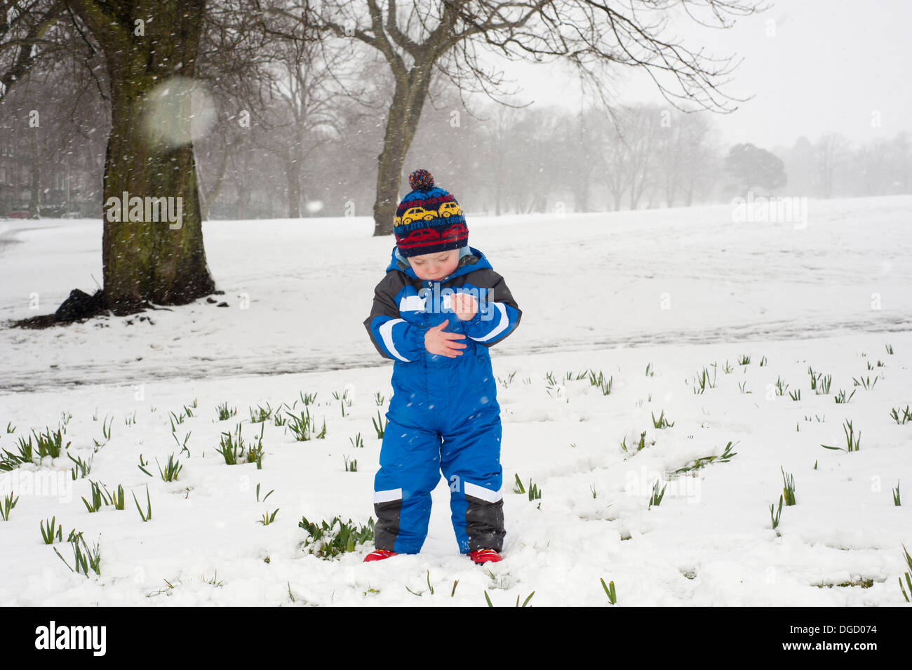 toddler wearing snow suit and woolly hat in snow blizzard Stock Photo ...