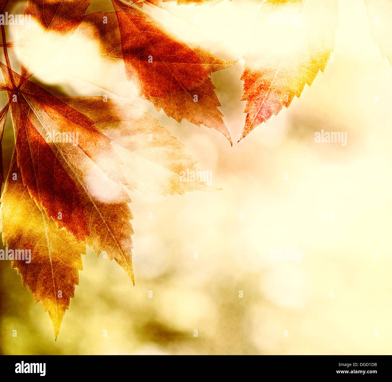 Red color fade hi-res stock photography and images - Alamy
