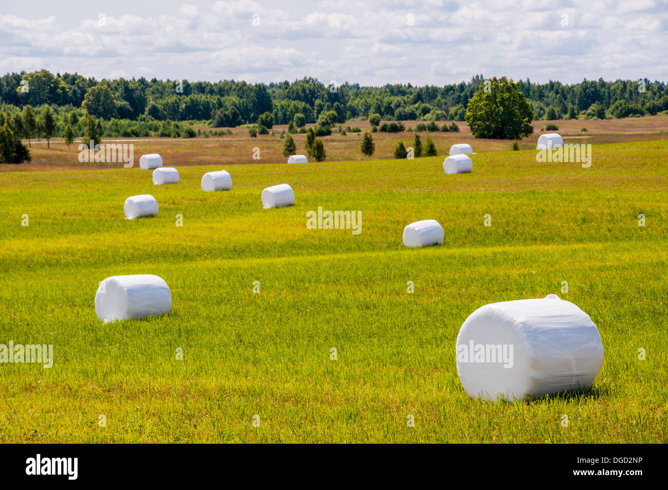 Haysel hi-res stock photography and images - Alamy